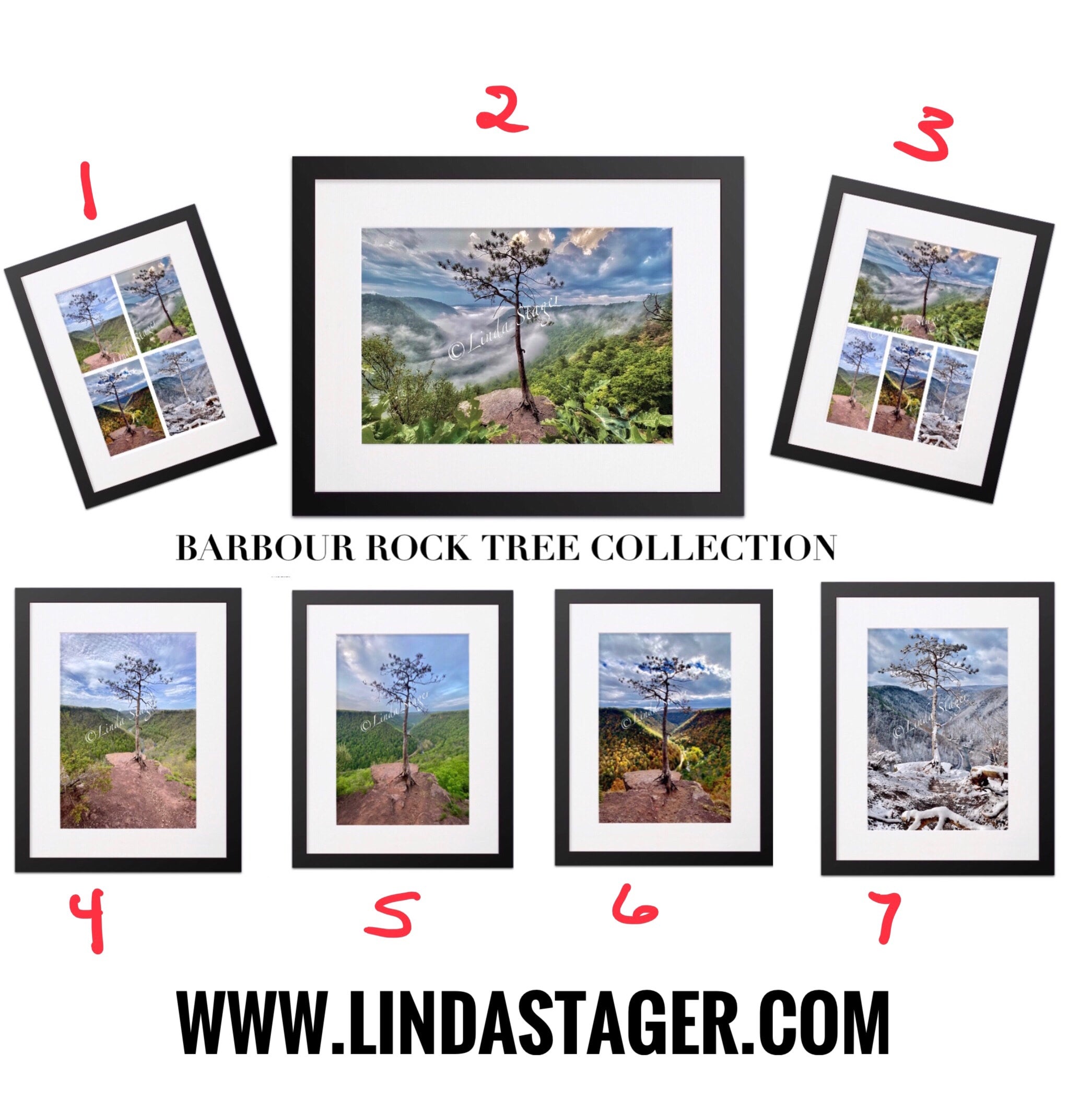 THE BARBOUR ROCK TRIBUTE COLLECTION | PA SUNCATCHER-- Linda Stager 266 ...