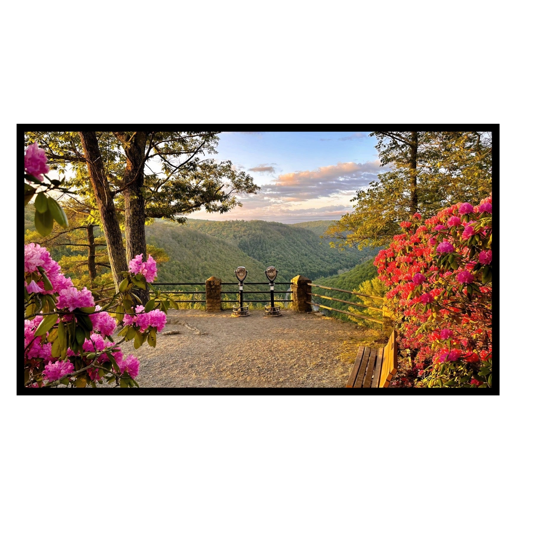 Colton Point Overlook Oversized canvas | PA SUNCATCHER-- Linda Stager ...
